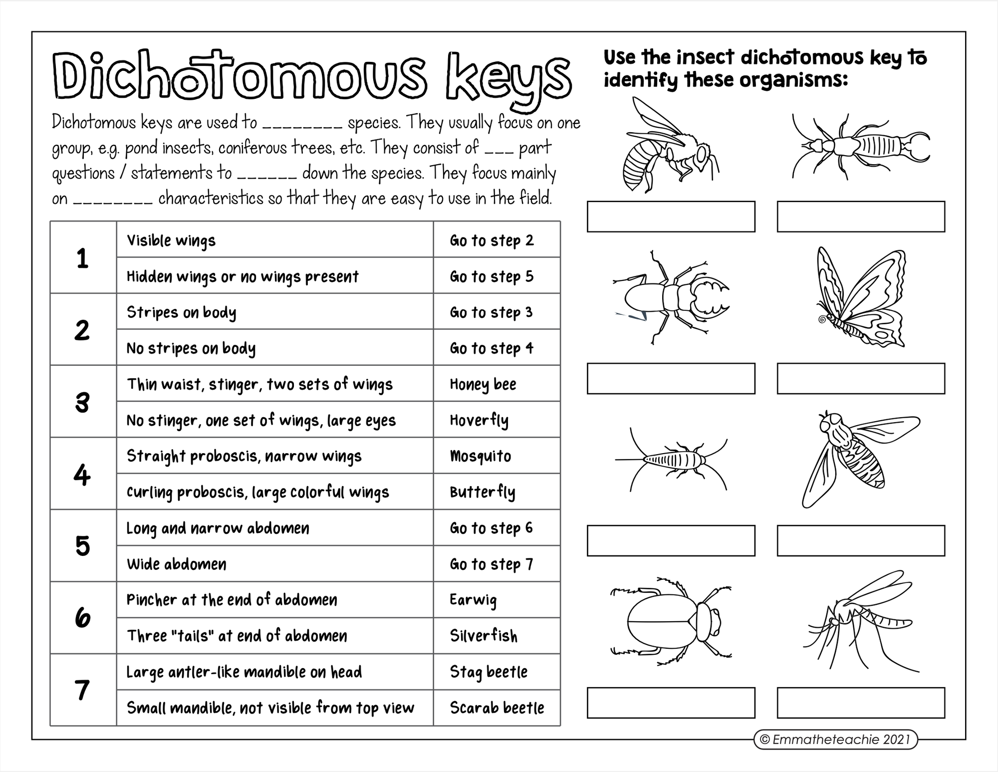 Copy - Classification Doodle Note