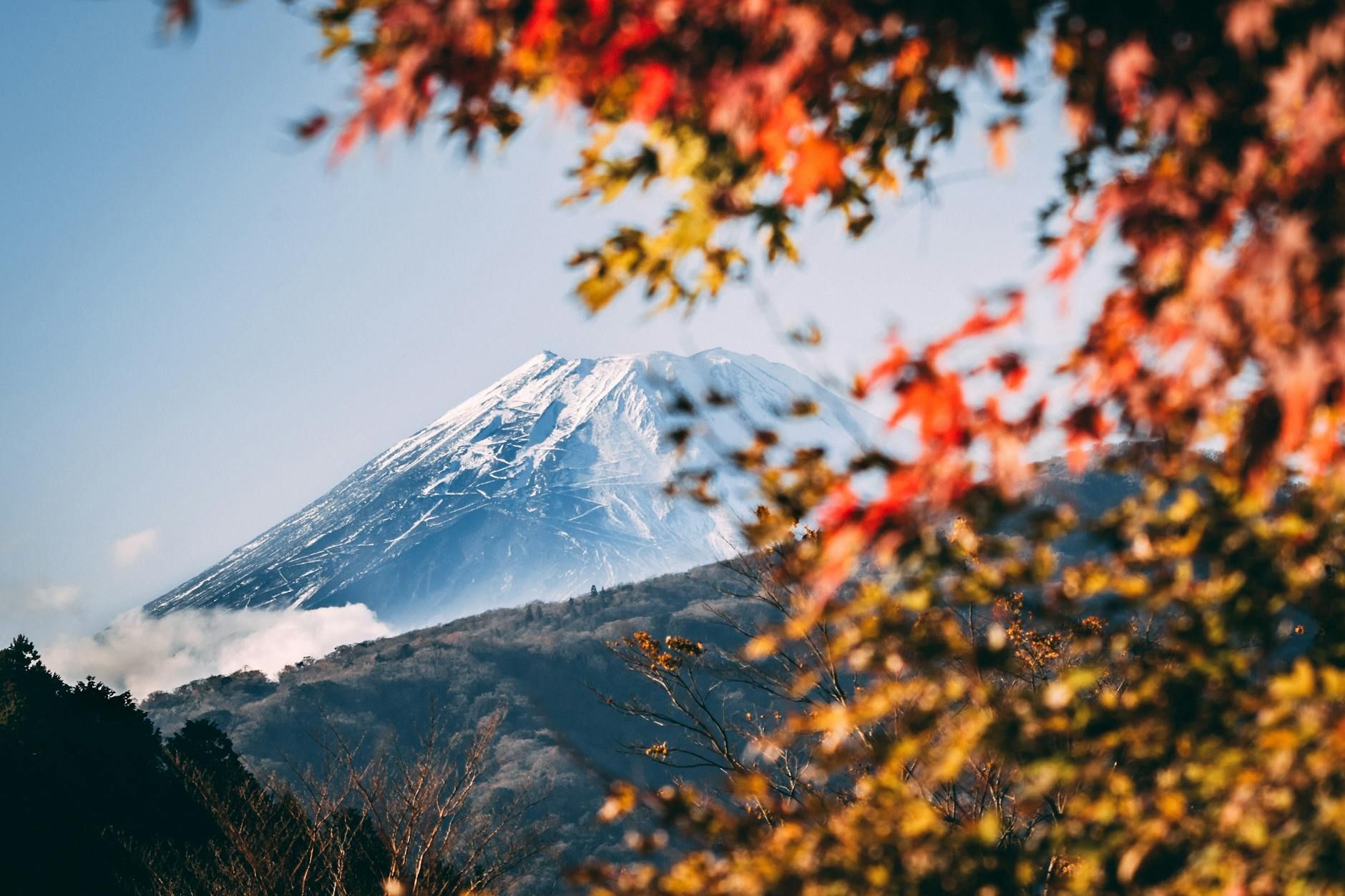 Mount fuji presentation | Genially