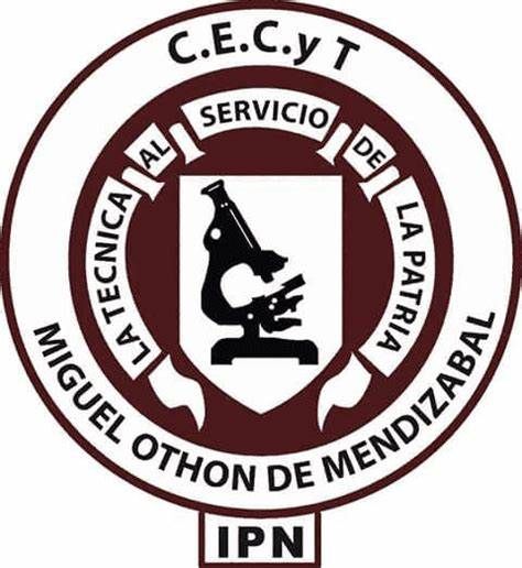 Infografia de unidades de medida de una computadora | Genially