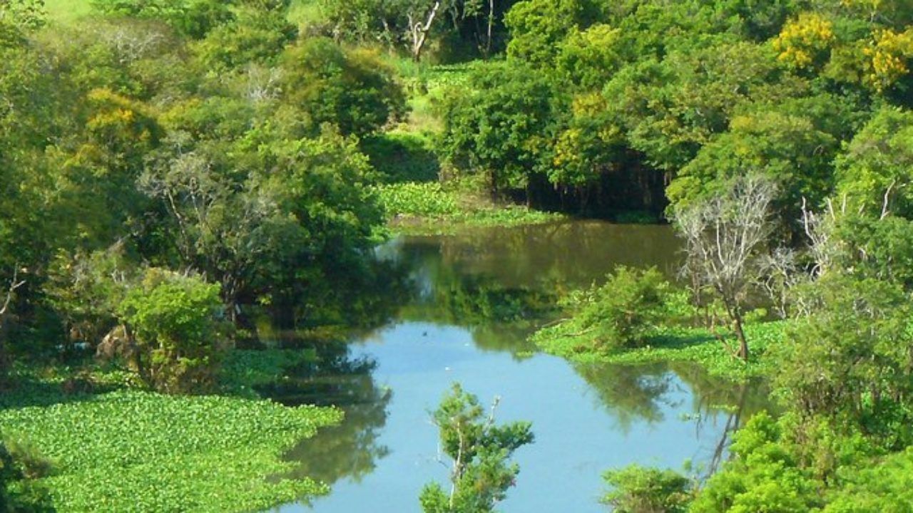 finds its home | Genially