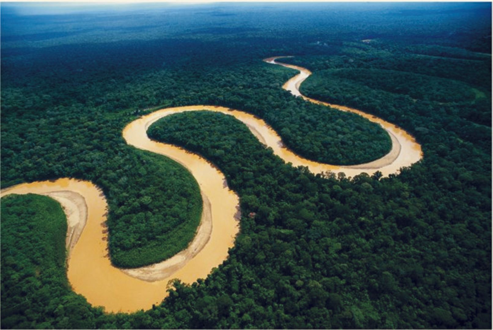 finds its home | Genially