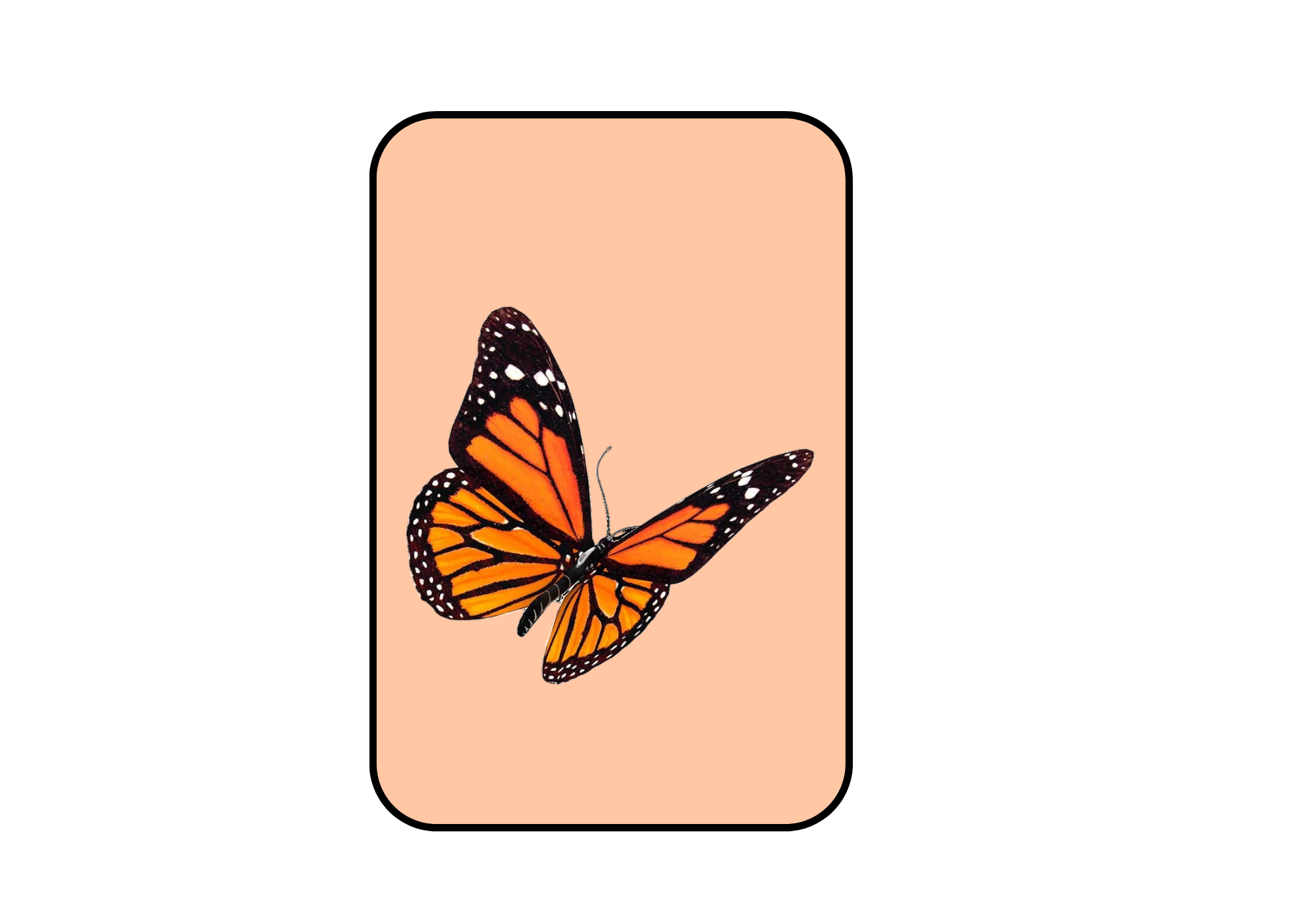 MA, ME, MI, MO, MU | Genially