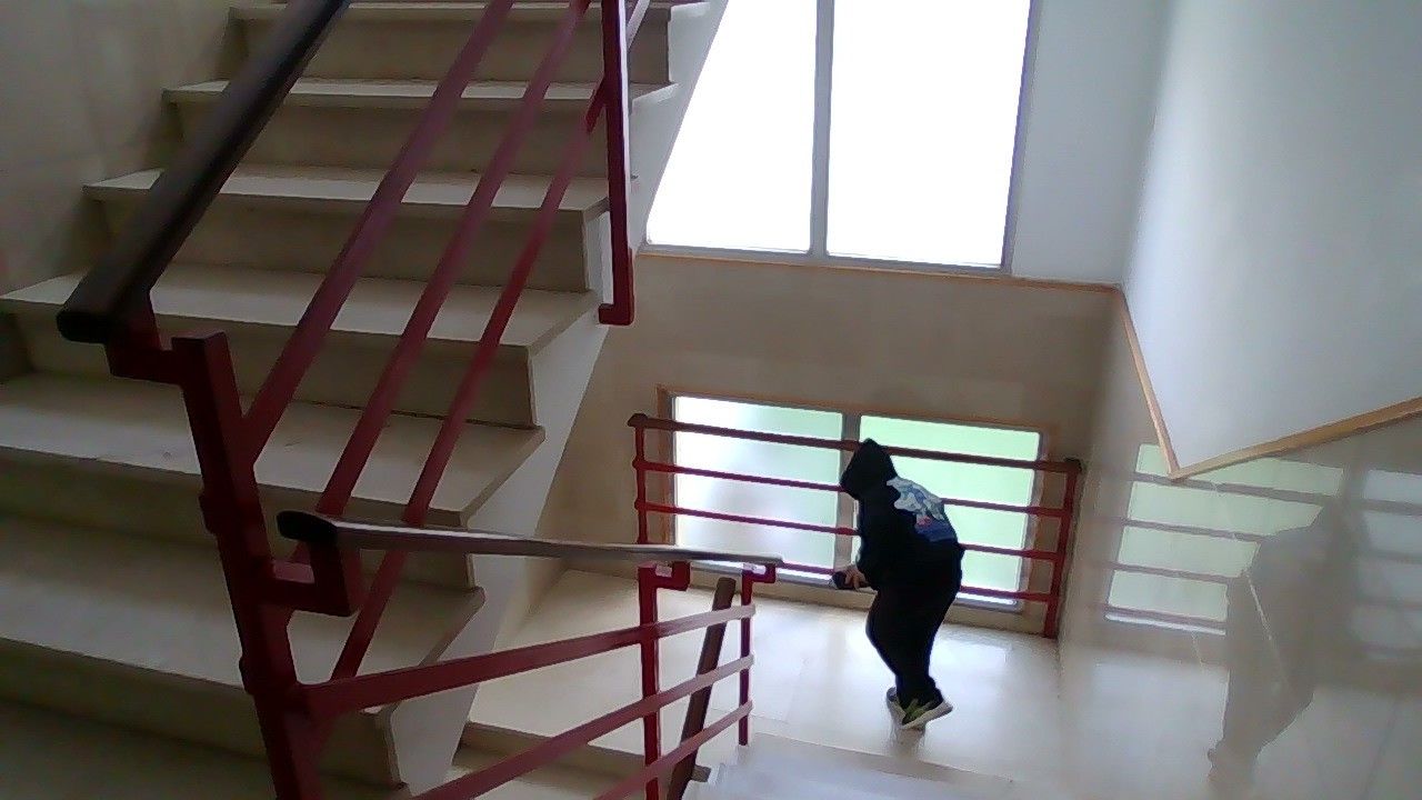 Infografia Florida Neon