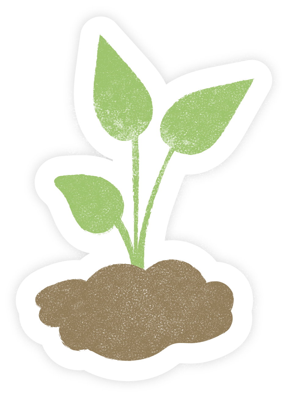 L'échelle écosystémique | Genially