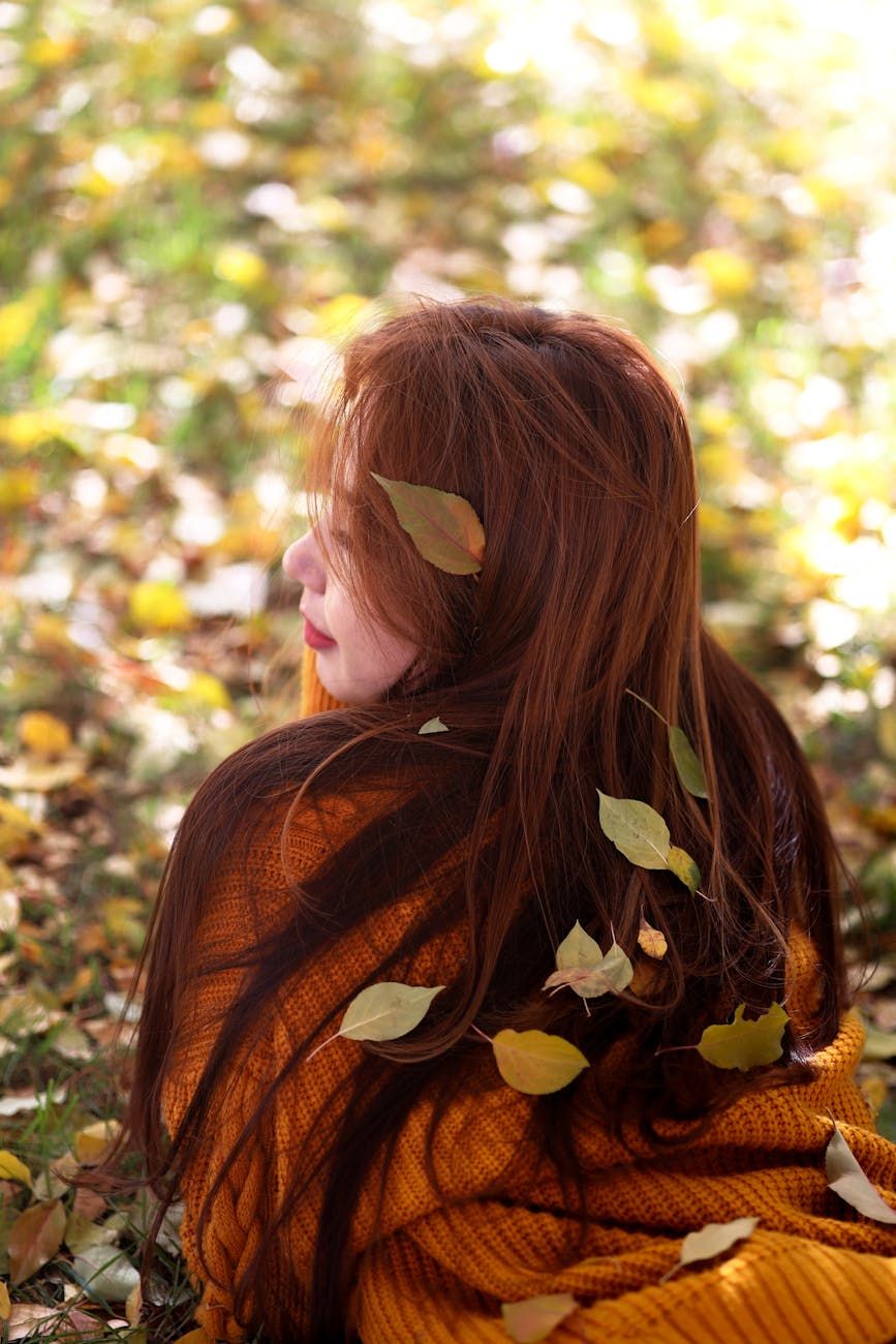 Infografia Mariposas