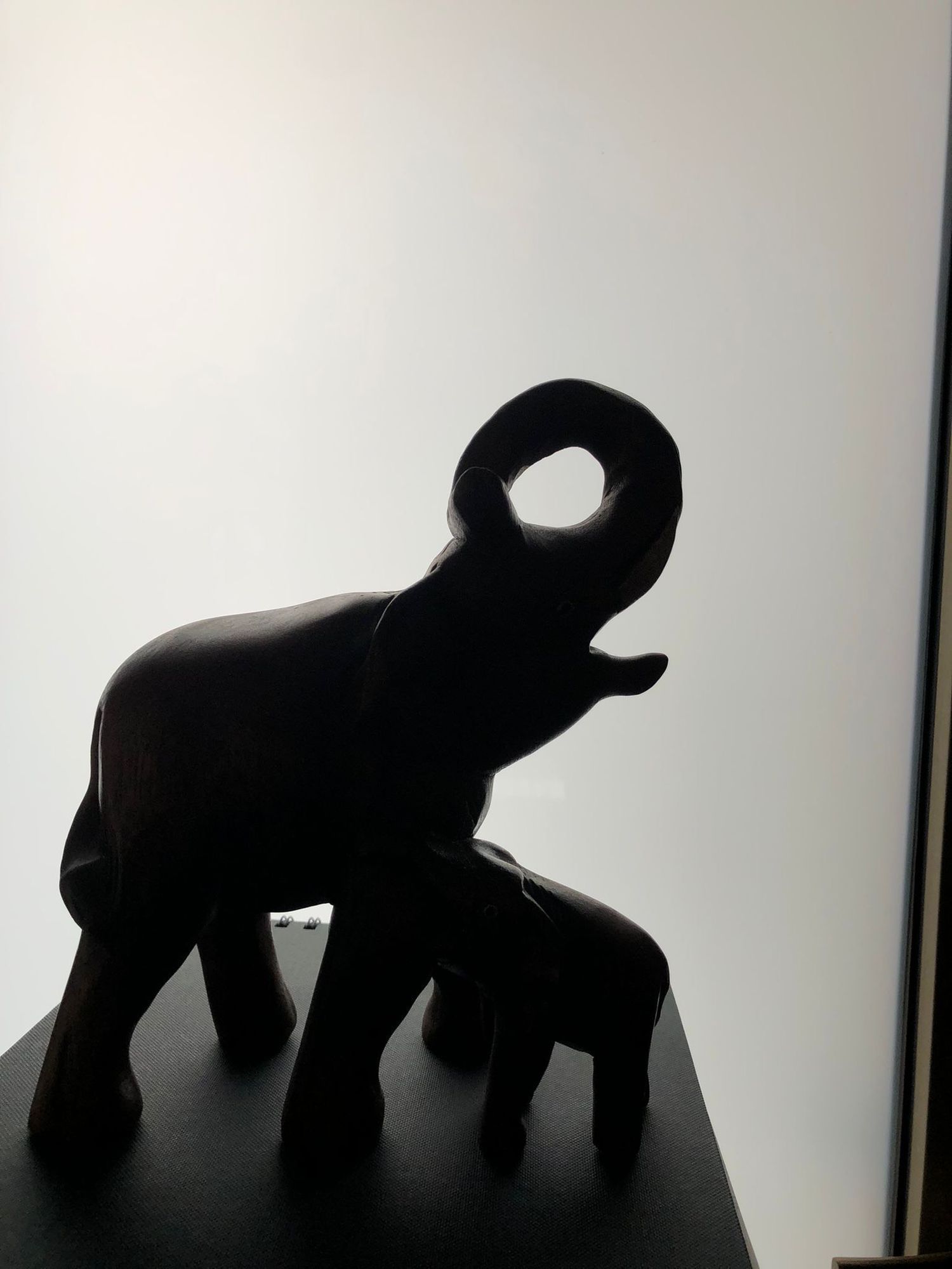 collage di diverse foto | Genially