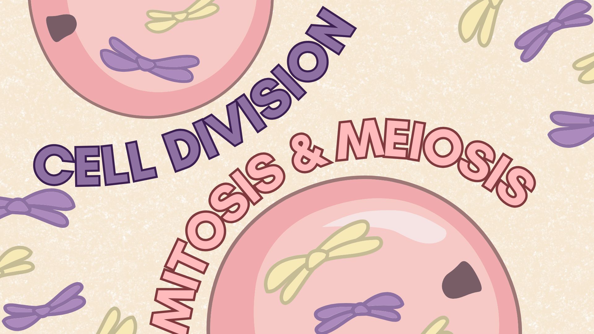 Cell division | Genially