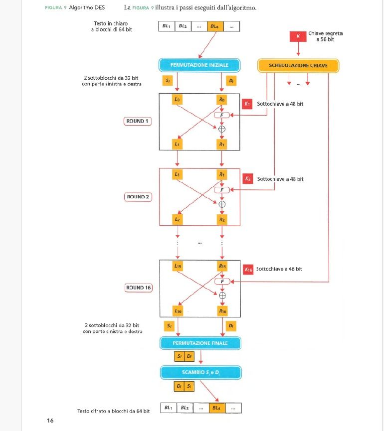 Infografica Einstein
