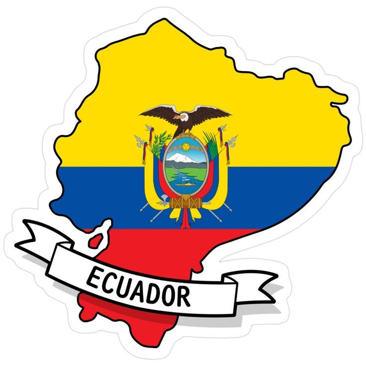 Estructura tu contenido | Genially