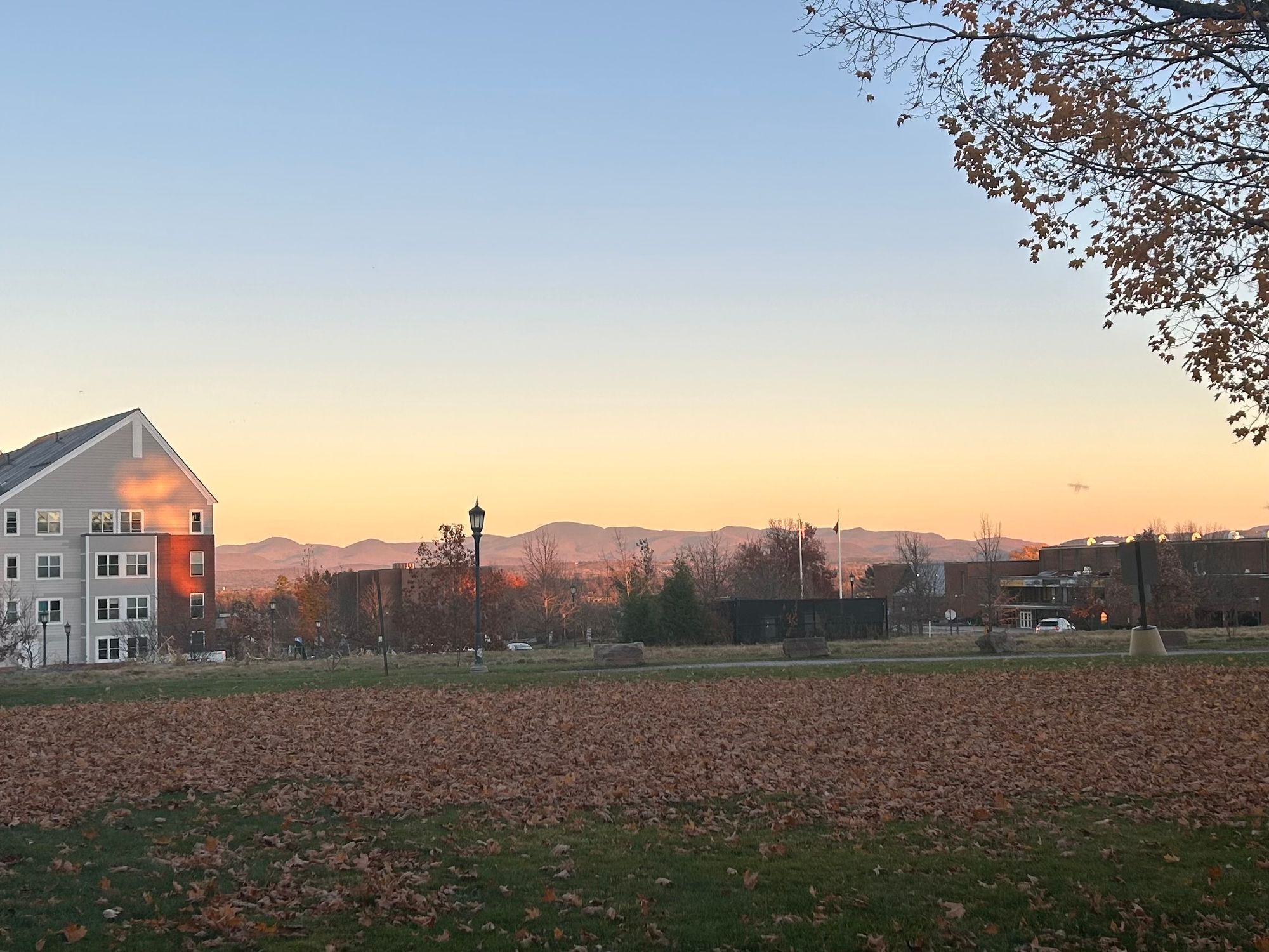 Sorting Cards | Genially