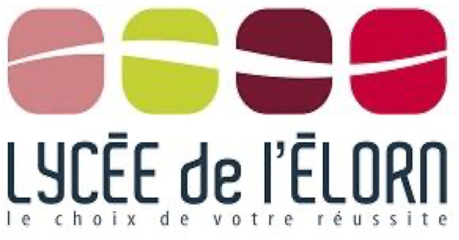 Présentation Section Euro 2025 | Genially