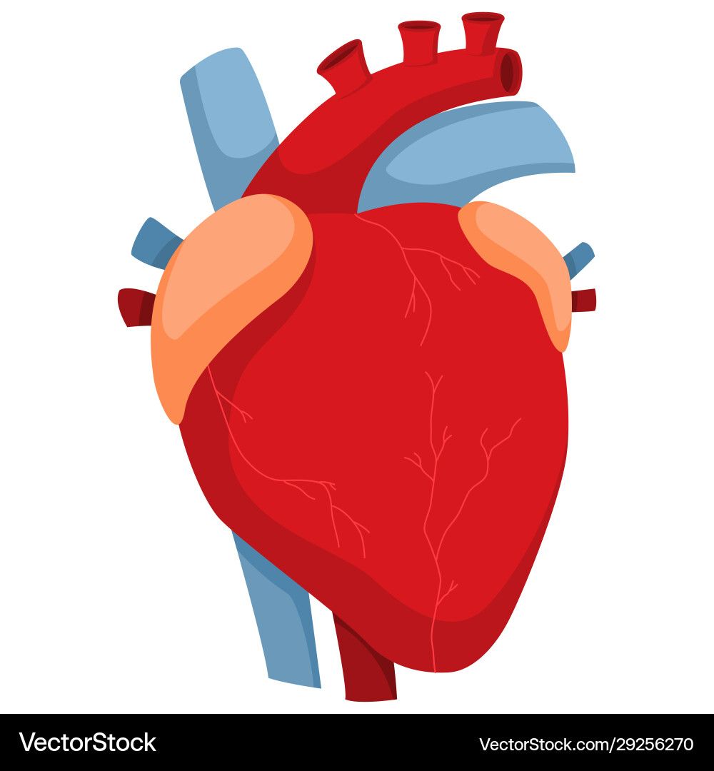 Heart Interactive Image | Genially