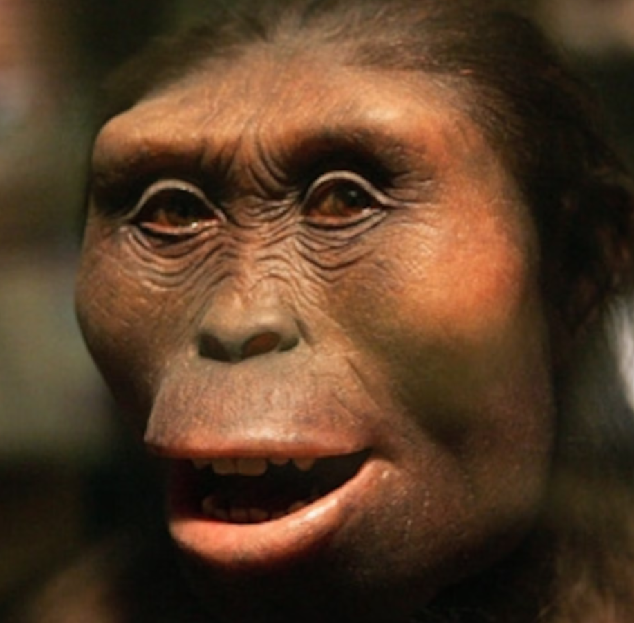 Lucy - imagine interactivă | Genially