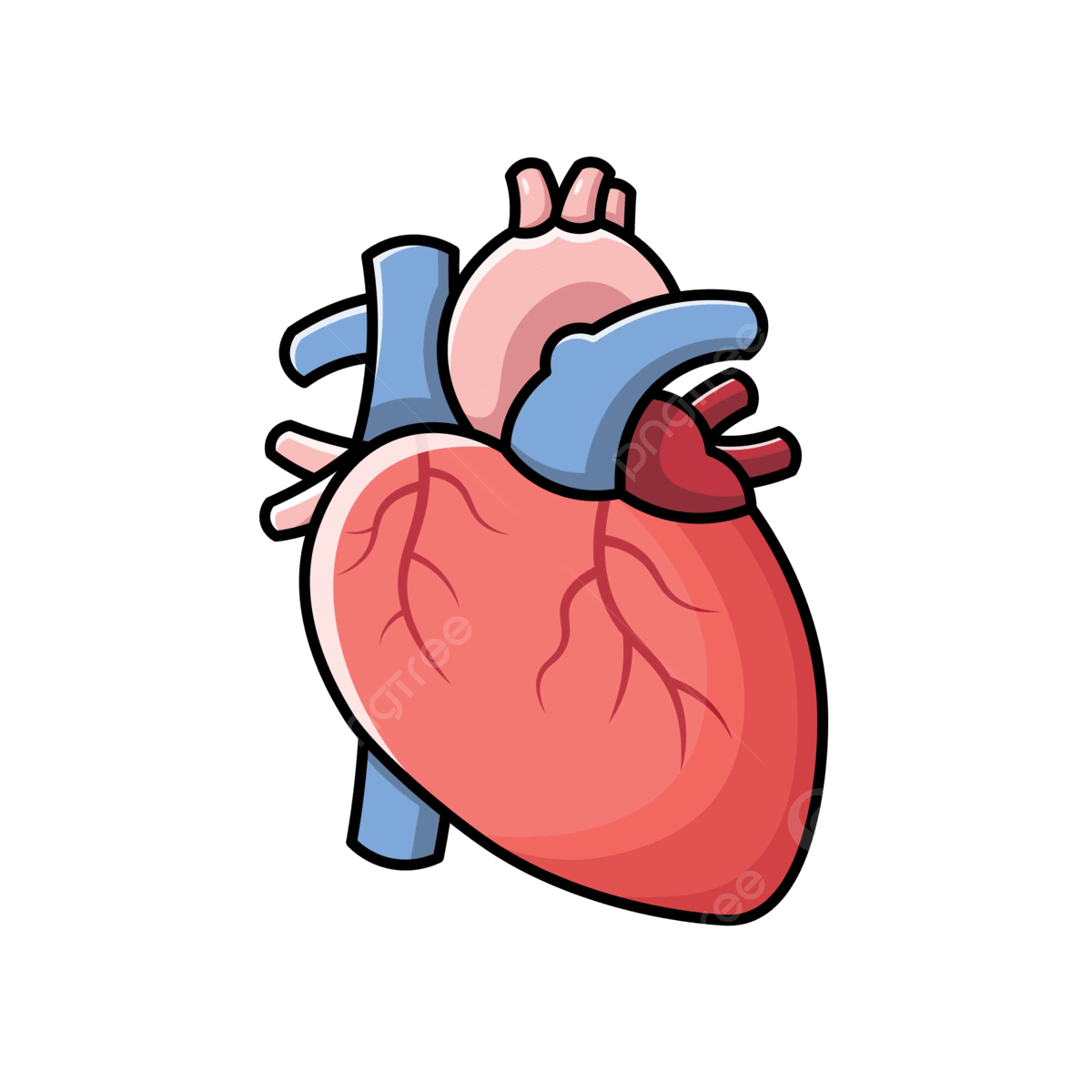 Contenido | Genially