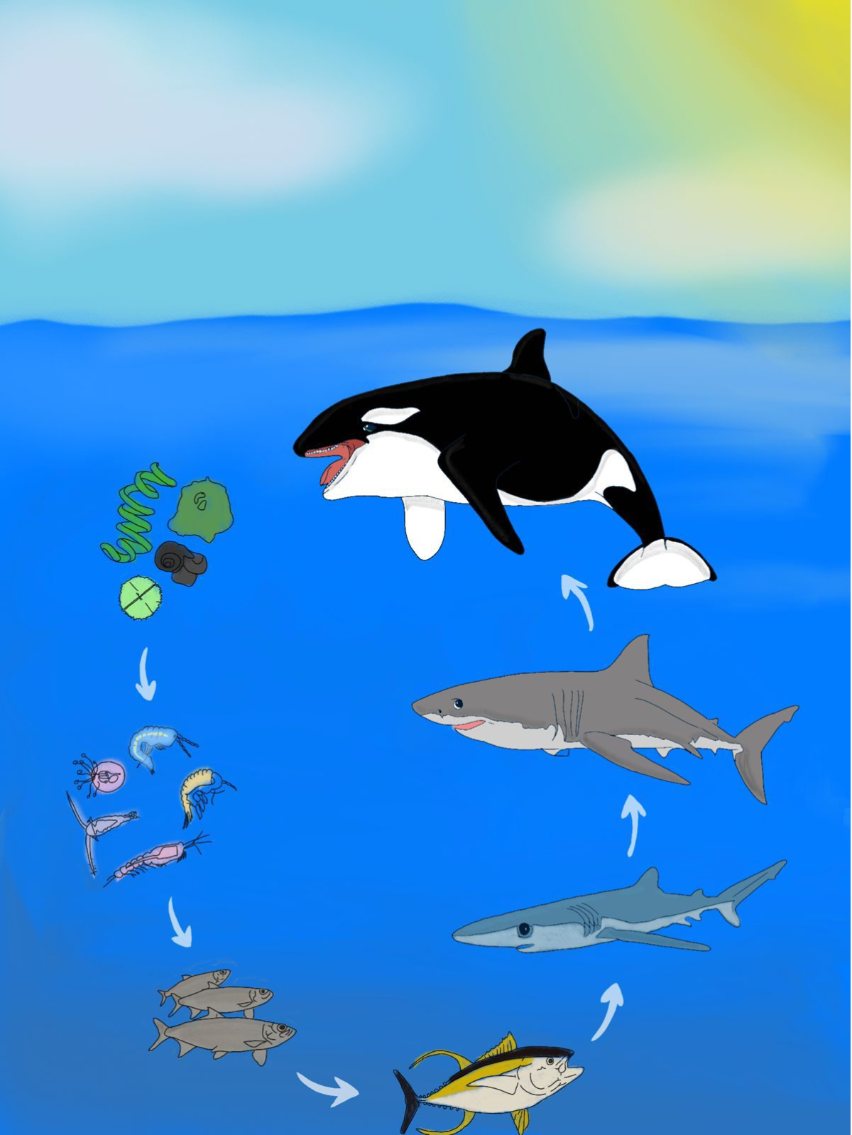 Imagen interactiva | Genially