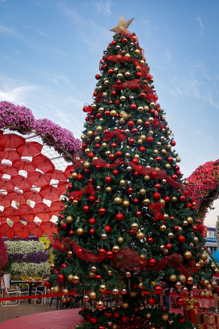 Merry Christmas | Genially